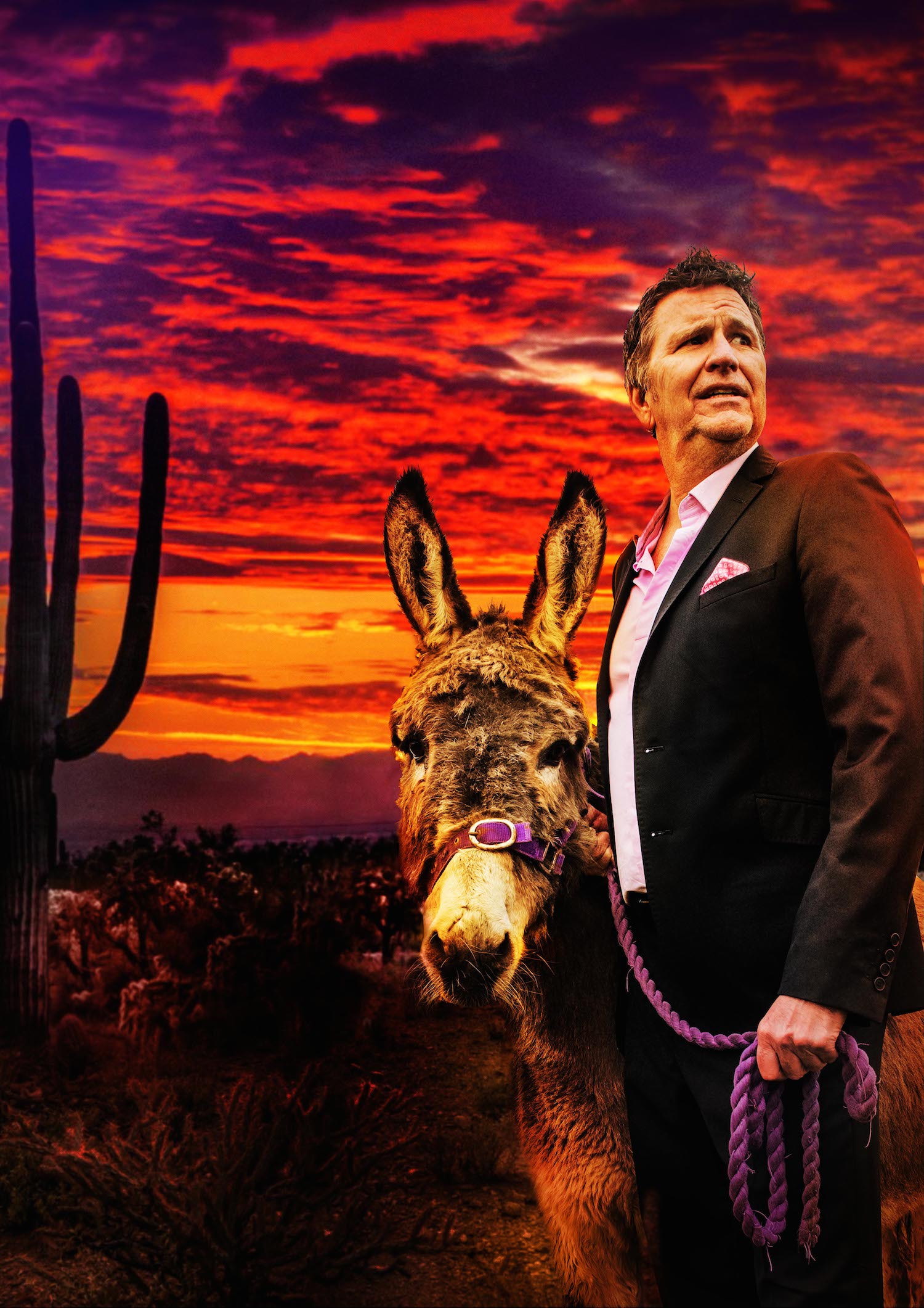 News: Farewell Tour From Stewart Francis